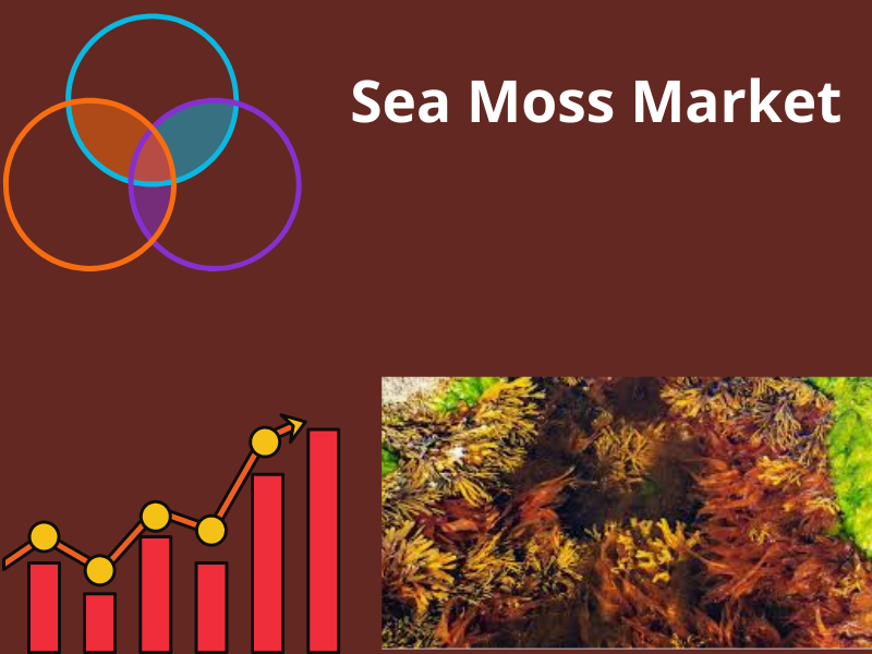 Sea Moss Market Research Report, Analysis And Forecast, Till 2030 ...